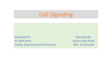 Signal Transduction Process Ppt