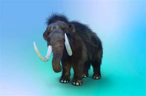 How To Customize Privacy And Security In Mastodon Kaspersky Official Blog