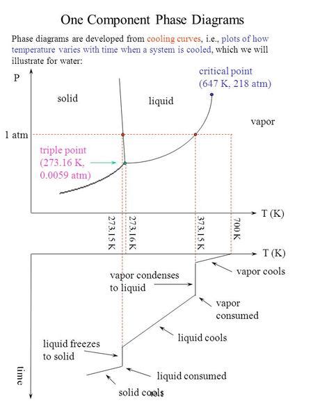 Phase Rule Phase Diagram Of One Component System Phase Rule