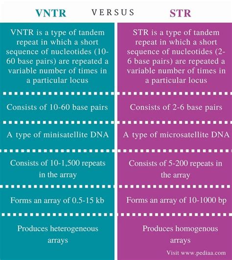 Variable Number Tandem Repeats Definition And Differences