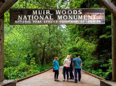 뮤어 우즈 레드우드 숲 And 소살리토 투어 샌프란시스코 출발 클룩 Klook 한국