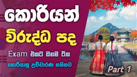 Antonyms In Korean Sinhala Part 1 කොරියන් විරුද්ධ පද කොරියානු උච්චාරණ සහිතව Youtube