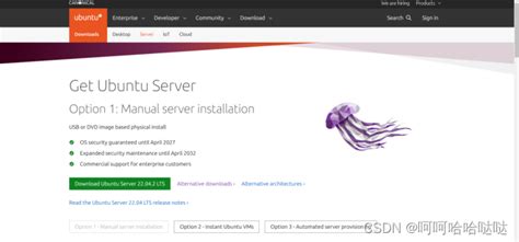 hyper v安装linux unix虚拟机 csdn博客