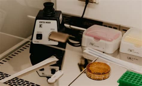 Topology Polynomials Chemistry International Journal Of Topology Mdpi