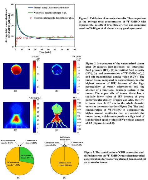 A Spatiotemporal Model To Determine Key Transport Mechanisms Of The F FMISO PET