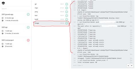 devops 基于 drone ci 部署 go 语言项目 — web server ijayer