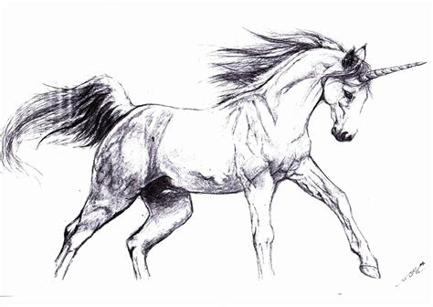 Sketsa Unicorn Gambar Pemandangan