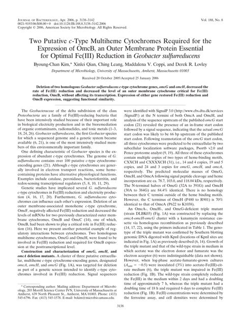 Pdf Two Putative C Type Multiheme Cytochromes Required For The Expression Of Omcb An Outer