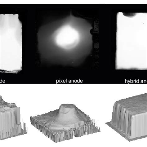 2d and 3d x ray response maps of a virtual frisch grid czt detector