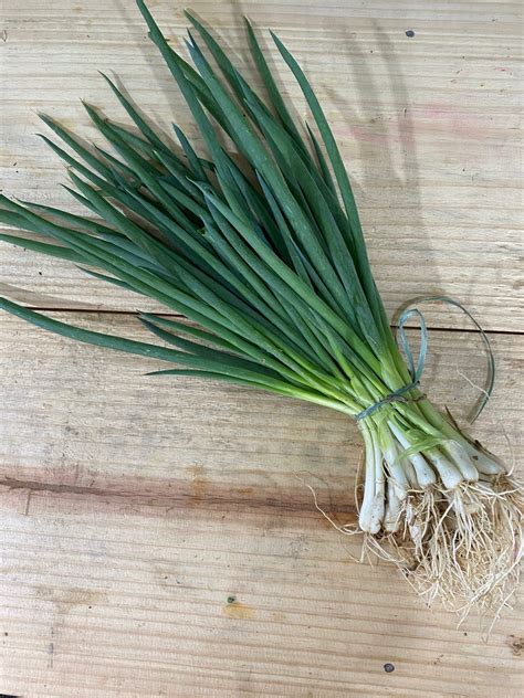 Cebolinha Verde Frutaria Espinheiros