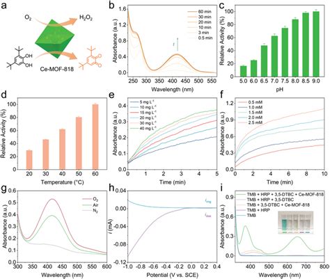 Catechol Oxidase‐like Activity Of Ce‐mof‐818 A Schematic Diagram Of Download Scientific