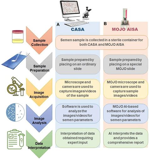 Frontiers Revolutionizing Semen Analysis Introducing Mojo Aisa The Next Gen Artificial