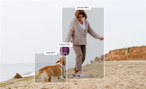 Qualcomm Yolo V6 · Hugging Face