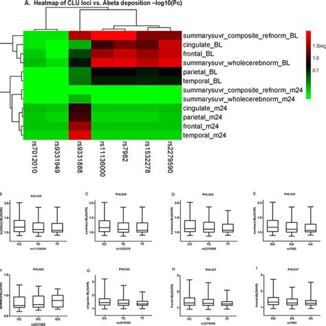 Thomas Obisesan Professor Full Of Medicine Associate Vice President Regulatory Research