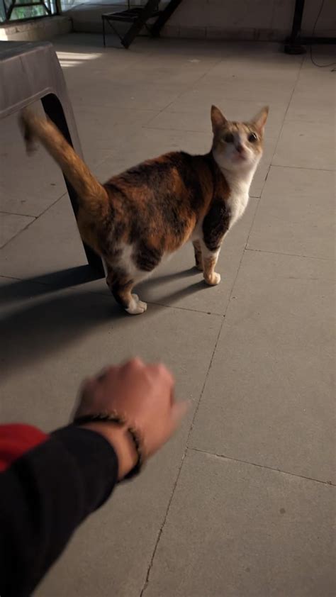 P7night Mode Isnt That Good With Moving Objects Rpixelphones