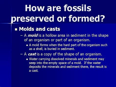 Fossils Essential Questions What Are Fossils And How