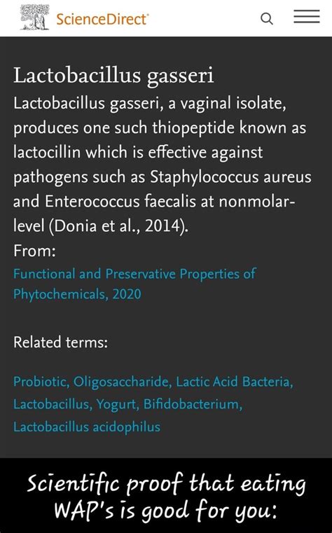 Lactobacillus Gasseri Lactobacillus Gasseri A Vaginal Isolate