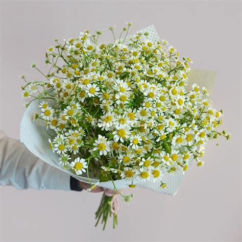Букет Ромашек артикул 609164 с доставкой в город Шарджа