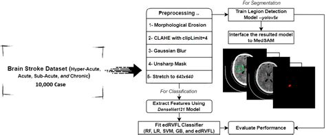Figure 1 From Hybrid Ensemble Deep Learning Model For Advancing Ischemic Brain Stroke Detection
