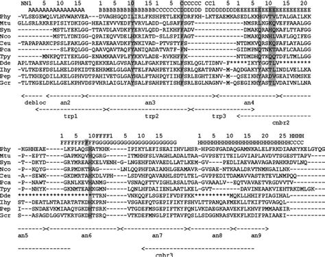 Alignment Of Trematode Globin Sequences Compared With That Of Sperm Download Scientific Diagram