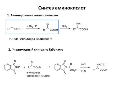 PPT - Амино кислоты и б елки PowerPoint Presentation - ID:5738965