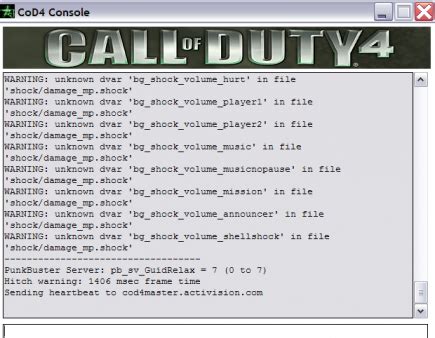 Call Of Duty Dedicated Server Guide