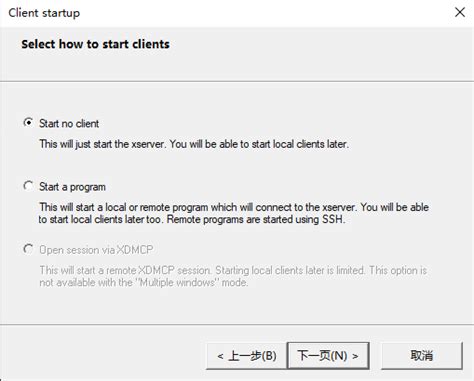 Vscode 远程隧道ssh Remote 开发 Linux 显示远程桌面gui 配置 Ssh X11 服务 Bubgit 博客园