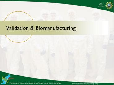 PPT Validation PowerPoint Presentation Free To View Id YjhjM