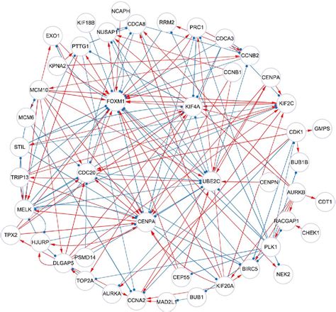 figure 4 from inferring disease progression and gene regulatory