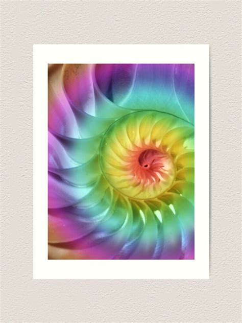 Nautilus Shell Cross Section Symmetry Spiral Fibonacci Sequence Half