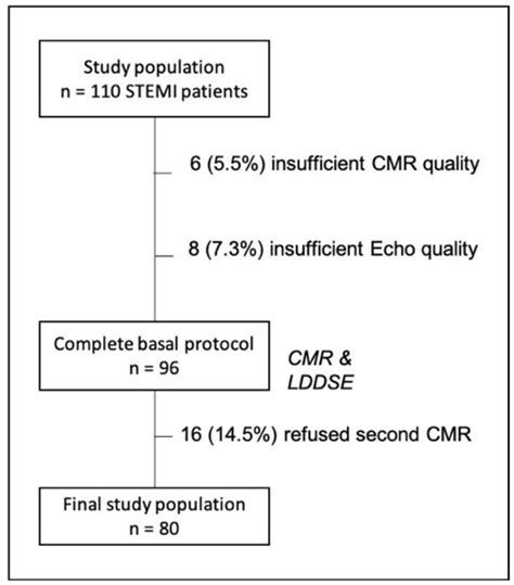 Jcm Special Issue State Of The Art Of Cardiac Multimodality Imaging