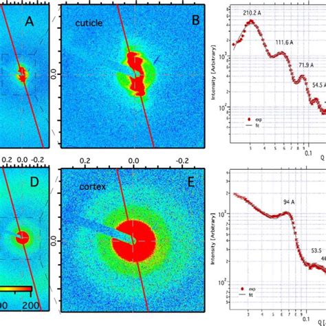 A Detailed Comparison Of Saxs And Waxs Diffraction Patterns Of The
