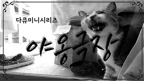 야옹극장 4화 [야옹극장] Youtube