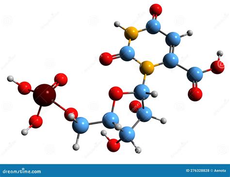 Nucleotide Omp Stock Illustrations 1 Nucleotide Omp Stock