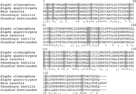 multiple sequence alignment of g pli b from genbank database multiple