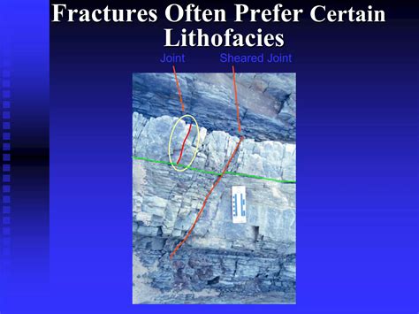 Seismic Signature Of Fractures Pdf Geology Science