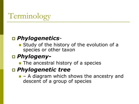 Ppt Reconstructing Evolutionary Trees Powerpoint Presentation Free