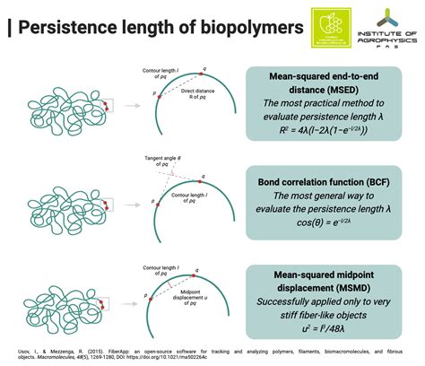 Determination Of The Persistence Length Of Biopolymers Biorender Science Templates