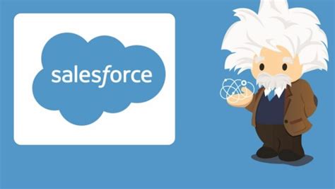 Einstein Vision Ki Gestützte Bildanalyse Mit Salesforce Cloudworx