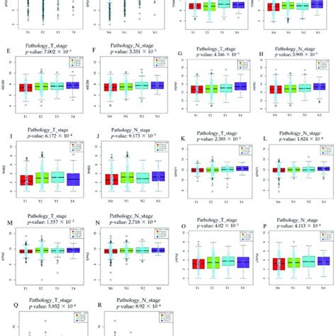 Gene Effect Score Of Crispr Depmap 22q1 Public Score Chronos