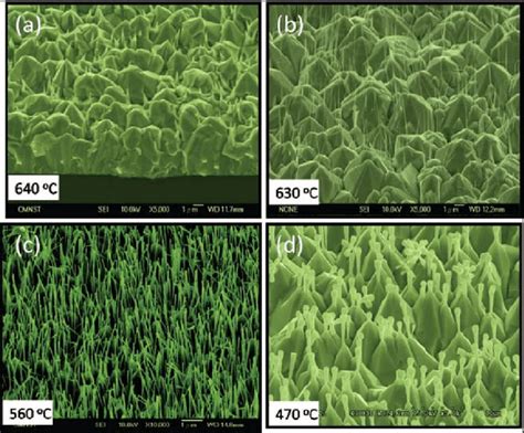 SEM Images Of Samples A B C And D Grown At A 640 B 630 C 560 Download Scientific