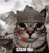 Zazu Cat Meme Zazu Cat Discover And Share S