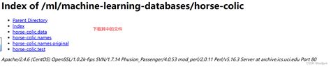 Data文件导入到excel表中（以马疝病为例）data文件怎么转换 Csdn博客