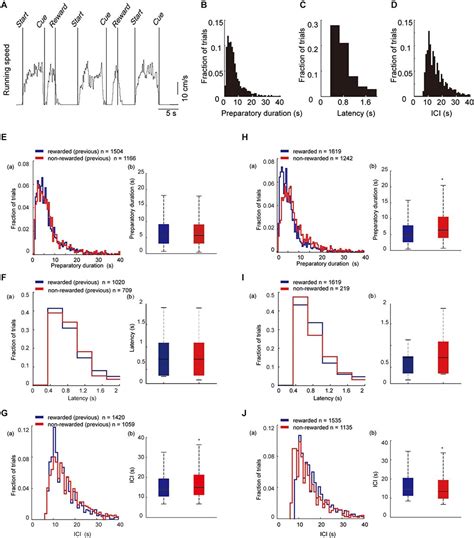 Anterior Cingulate Cortex