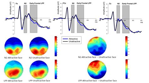 N2 And Early Frontal Lpp Waveforms And Topographic Maps Download