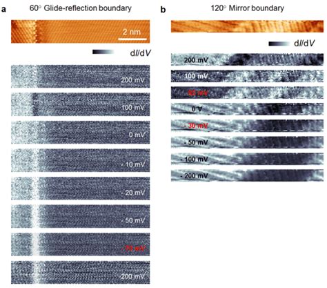 Fig S7 Differential Conductance Maps A Stm Topograph And Di Dv Maps