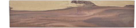 Katalox Exotic Wood 1 58 X 9 38 X 43 14 Hand Picked 172139