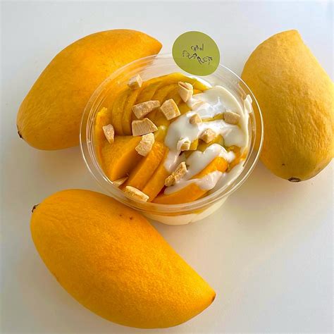 캐롤 치즈케이커리 망고요거트빙수치즈케이크gf🥭☀️ 플레인요거크치즈케이크요거트크림수제레몬커드망고잼망고쉘생망고가득코코넛청크코코넛연유별도포장 다가올 여름을