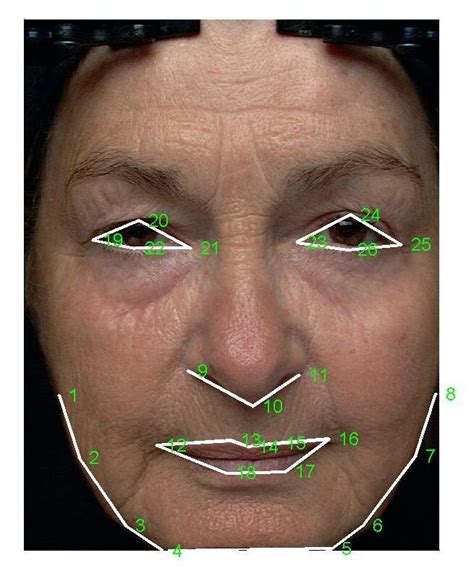Manual Landmarks On Faces Download Scientific Diagram