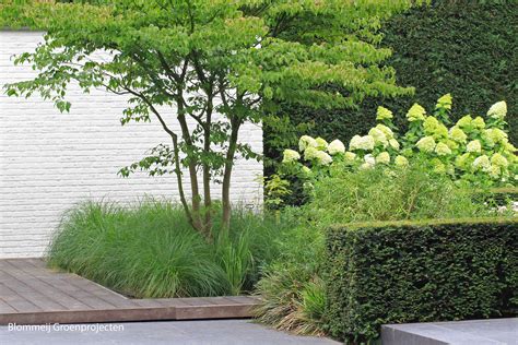 Landscaping With Ornamental Grasses Artofit